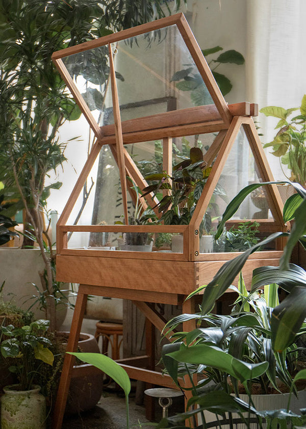 Solid Wood Plant Display Case – nichinichi